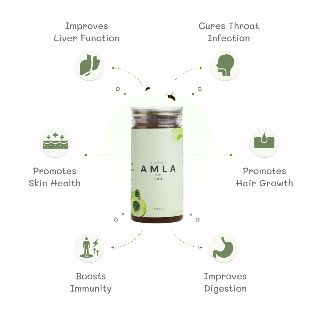 Buy Honey Soaked Amla Online - Western Ghats Honey – Oorla